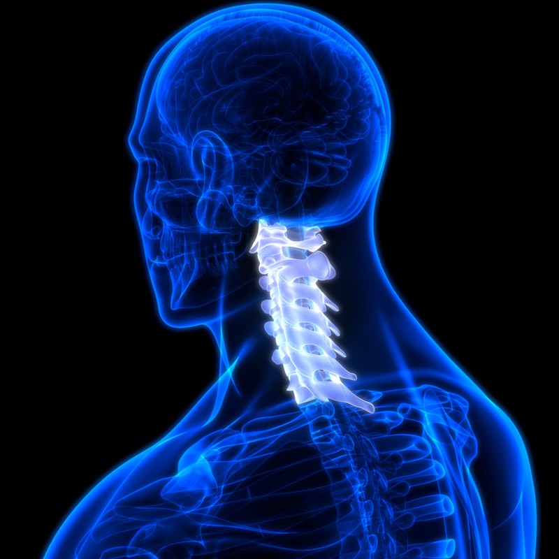 The Neck's Normal Range Of Motion | Veterans Disability Info
